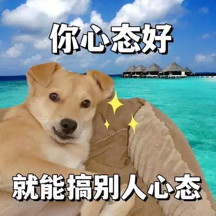 可爱小狗配文“你心态好就能搞别人心态”超有趣 小狗表情包：超有用的表情包！跟小狗学顶级心态！表情包图片gif动图 - 求表情网,斗图从此不求人!