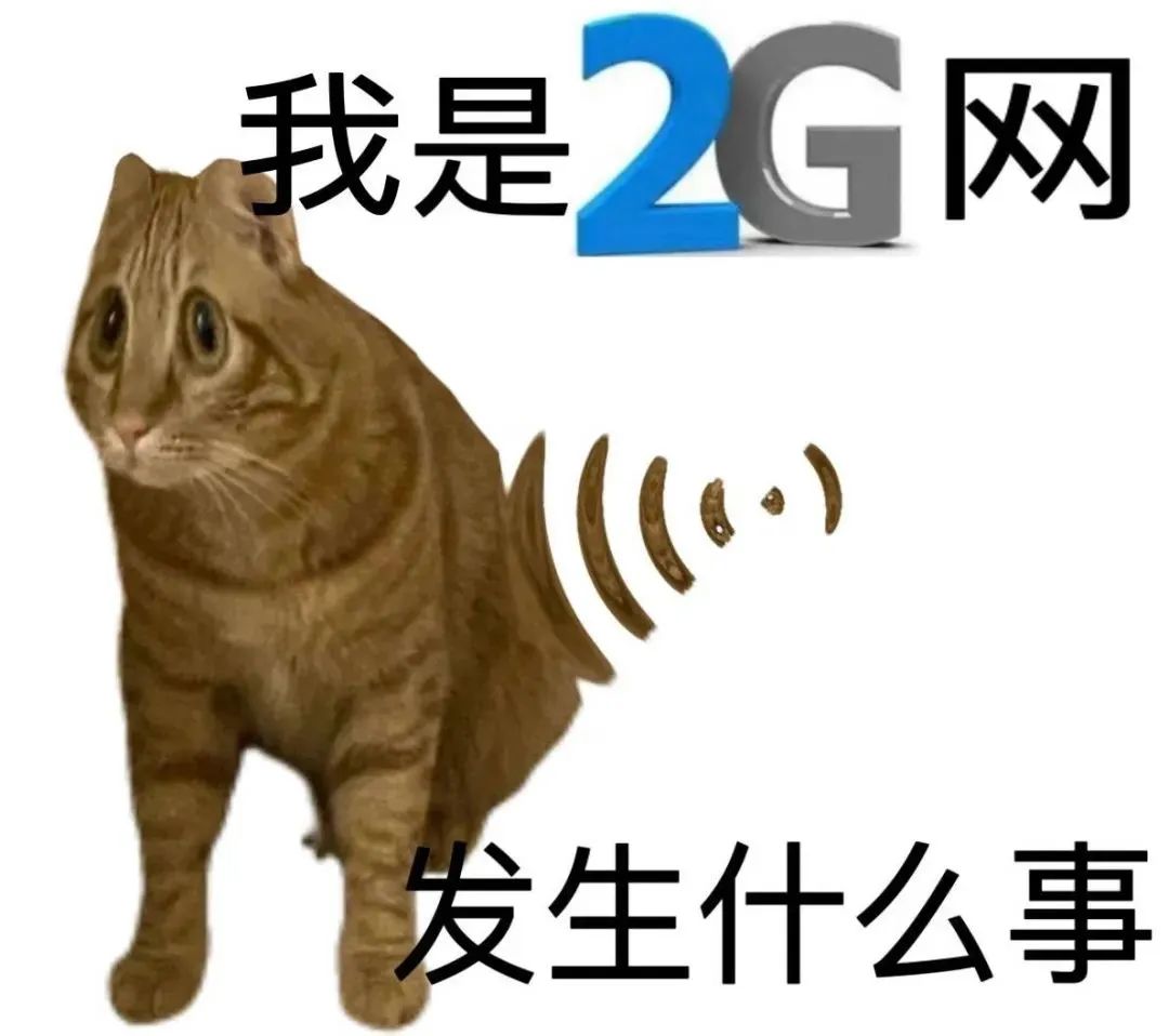 《2G网的猫咪一脸懵：“发生什么事”》 表情包｜咩啊？咩啊？咩啊？表情包图片gif动图 - 求表情网,斗图从此不求人!
