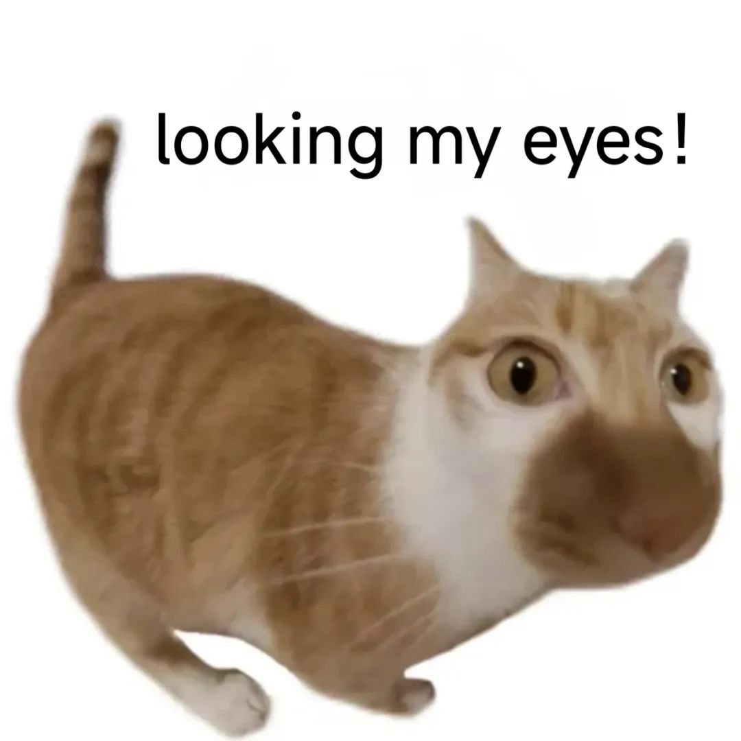 表情包:looking my eyes相关表情包,表情包专辑 - 求表情网,斗图从此不求人!