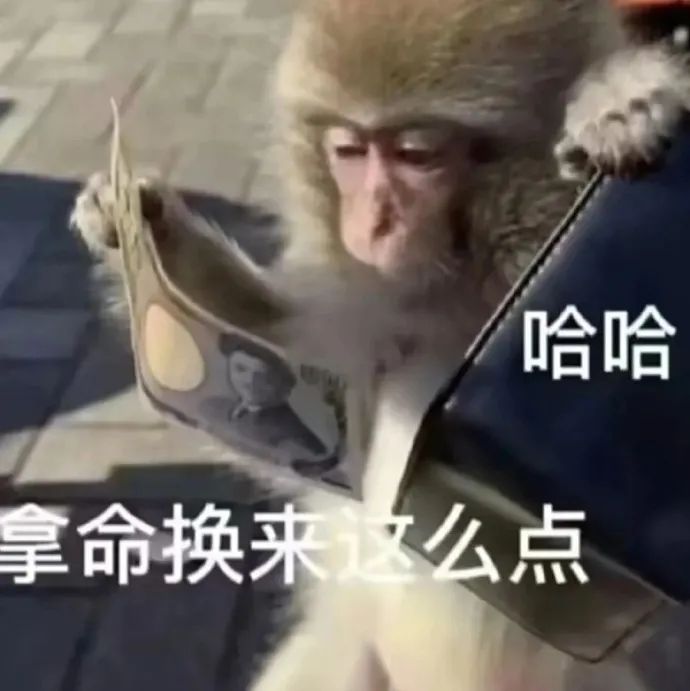 猴子拿着钱一脸无奈，配文“哈哈 拿命换来这么点”超搞笑 超实用的必备打工人表情包表情包图片gif动图 - 求表情网,斗图从此不求人!
