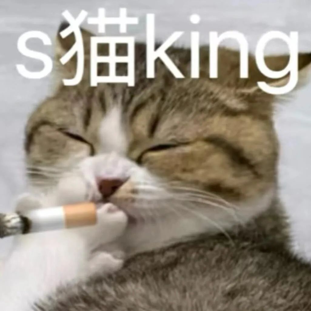 慵懒猫咪叼着烟，“s猫king”字样尽显霸气 表情包丨小猫表情包合集表情包图片gif动图 - 求表情网,斗图从此不求人!