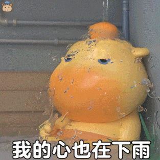 水豚噜噜表情包又来了，无字版更好用~相关表情包,表情包专辑 - 求表情网,斗图从此不求人!