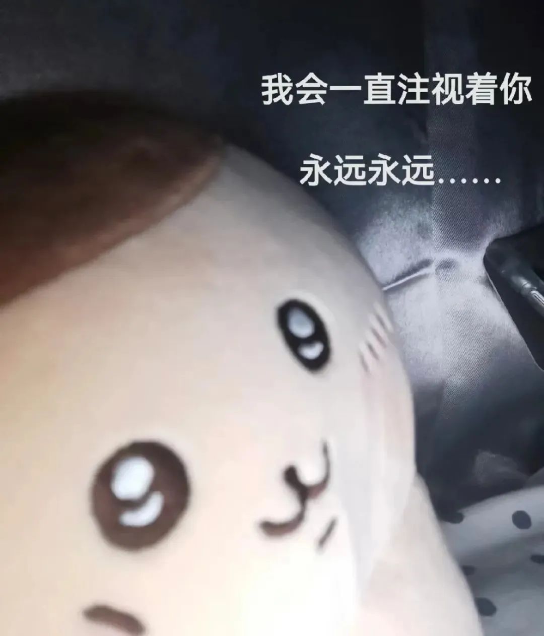 chiikawa视奸你表情包 ：我会永远视奸你…永远相关表情包,表情包专辑 - 求表情网,斗图从此不求人!