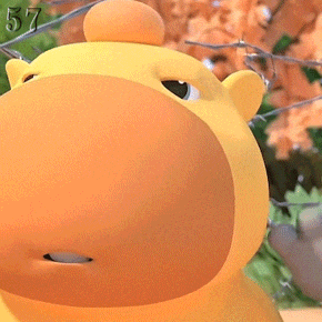 呆萌小黄动物，睁大眼睛吐舌，可爱爆表 水豚噜噜|黄色河马表情包(新)表情包图片gif动图 - 求表情网,斗图从此不求人!