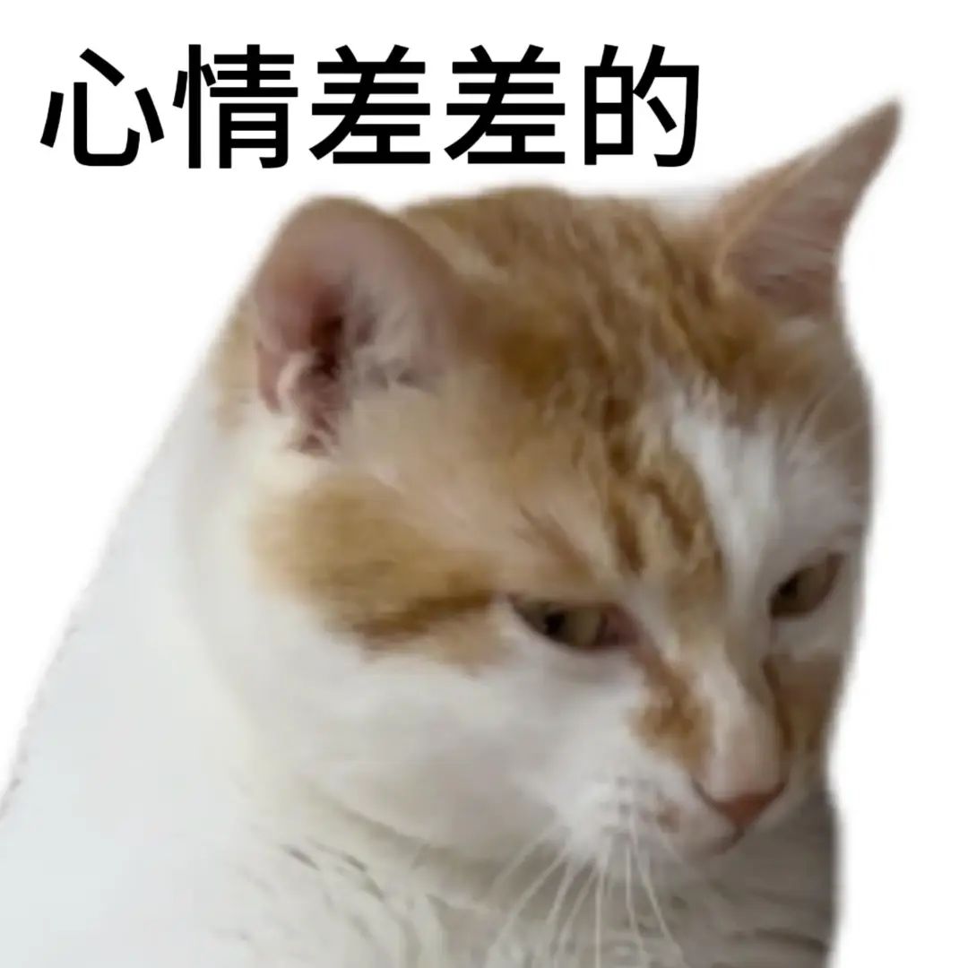 猫咪一脸不悦，配文“心情差差的”，可爱又生动的心情写照 大学生爱用的抽象表情包表情包图片gif动图 - 求表情网,斗图从此不求人!