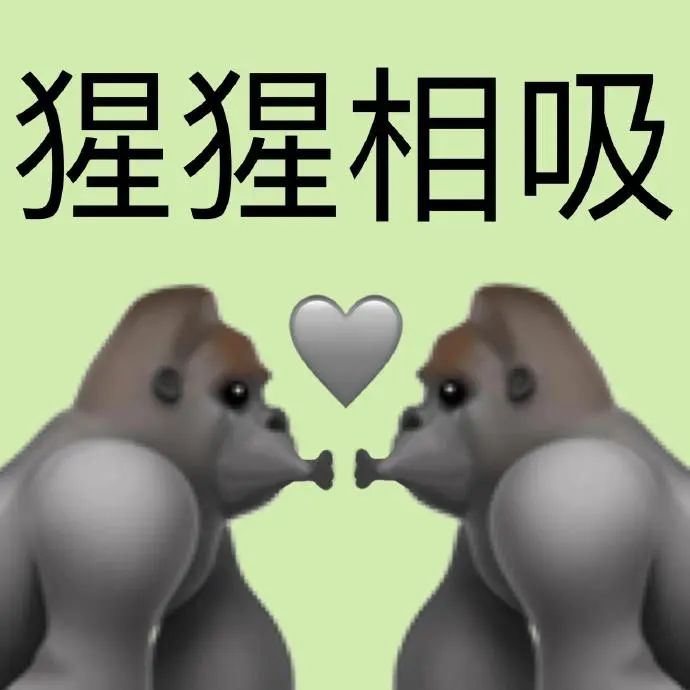 两只猩猩深情对视，中间一颗爱心，配文“猩猩相吸” 谐音梗表情包：演我精神状态表情包图片gif动图 - 求表情网,斗图从此不求人!