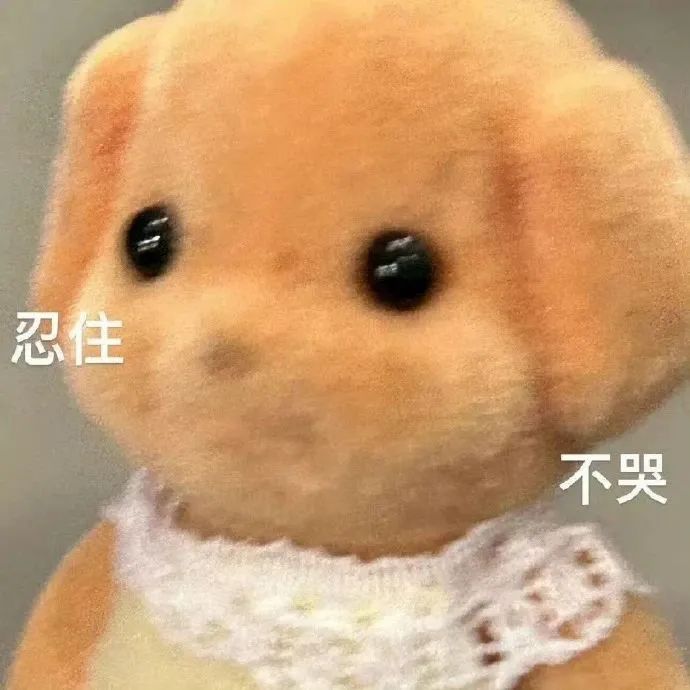 可爱毛绒玩偶配文“忍住不哭”，超萌超治愈的表情包 表情包龟泌：你老公 你老公 你老公 你老公表情包图片gif动图 - 求表情网,斗图从此不求人!