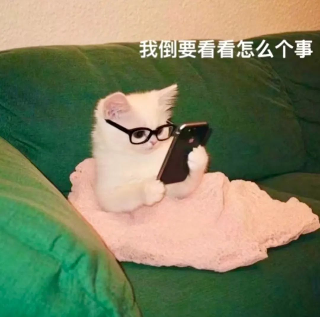 戴眼镜的小猫坐在沙发上玩手机，配文“我倒要看看怎么个事” 表情包丨小猫合集表情包图片gif动图 - 求表情网,斗图从此不求人!
