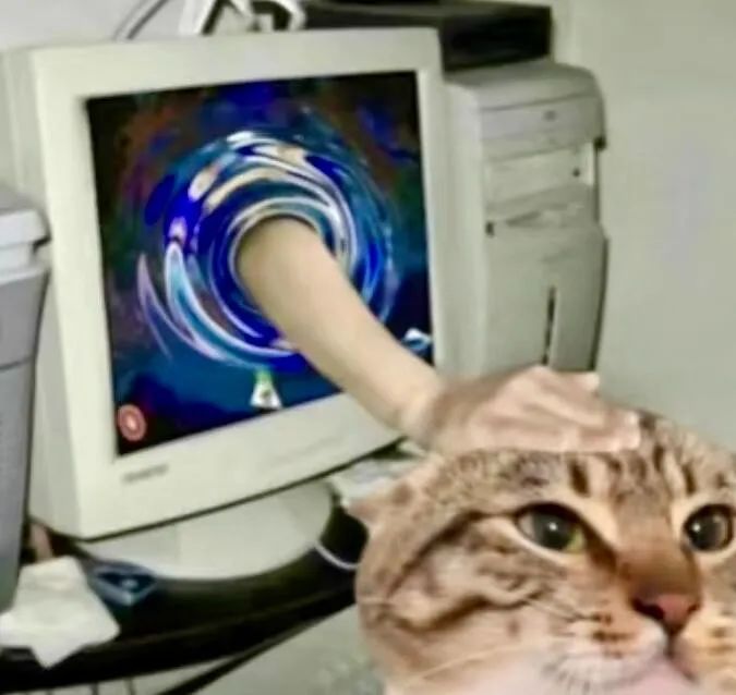 电脑屏幕伸出手摸猫头，猫咪一脸呆萌的搞笑表情包 表情包丨审美积累（2）表情包图片gif动图 - 求表情网,斗图从此不求人!