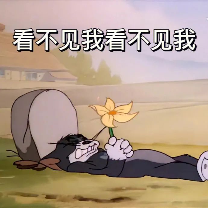 《猫和老鼠》中的猫躺着举花配文“看不见我看不见我”超搞笑 猫和老鼠表情包 | 能不能好好听我说话表情包图片gif动图 - 求表情网,斗图从此不求人!