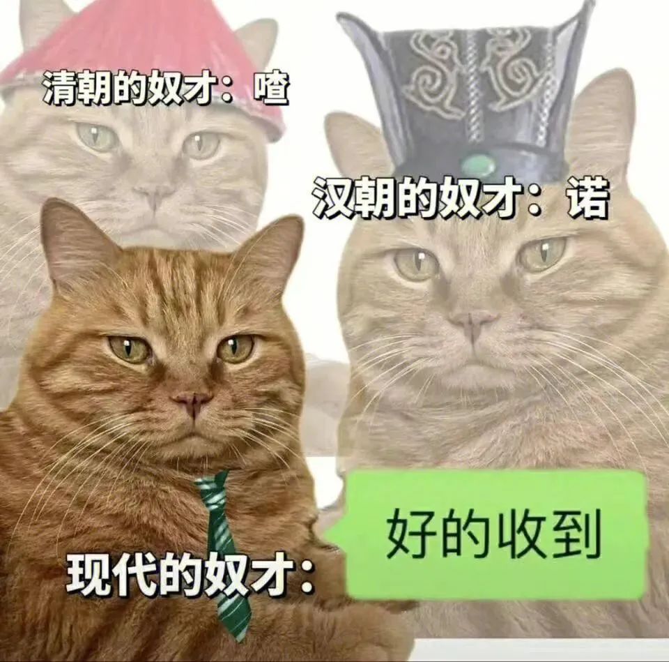 《清朝“喳”、汉朝“诺”，现代“好的收到”的猫咪奴才对比图》 表情包｜鸡拟态莓表情包图片gif动图 - 求表情网,斗图从此不求人!