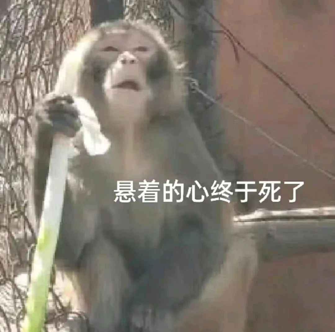 笼中猴子手拿东西张嘴喊叫，配文“悬着的心终于死了” 又萌又可爱的表情包！表情包图片gif动图 - 求表情网,斗图从此不求人!