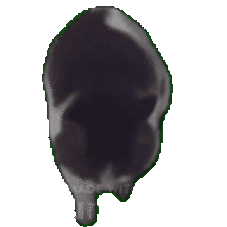 神秘黑影表情包，奇特外形引人遐想，充满趣味 近期收藏的透明底Gif 动态表情包 表情包图片gif动图 - 求表情网,斗图从此不求人!