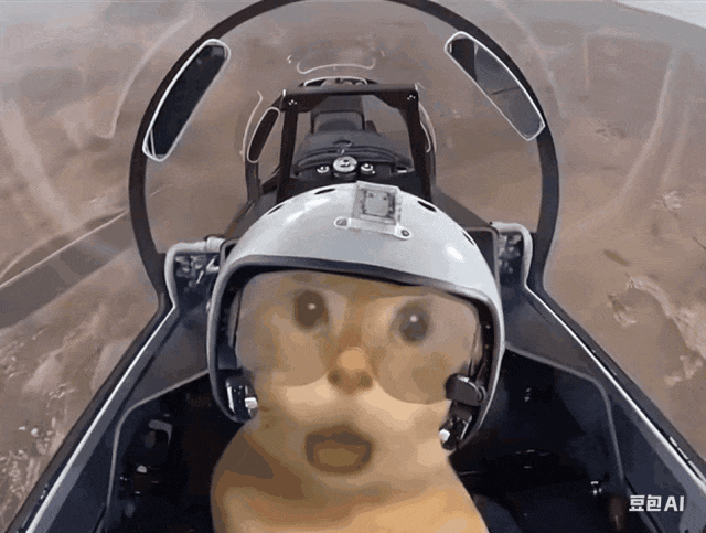 戴着头盔坐在战斗机里的猫咪 一脸震惊呆萌可爱 耄耋圆头蜘蛛猫长串爬行表情包大全！可批量保存！表情包图片gif动图 - 求表情网,斗图从此不求人!