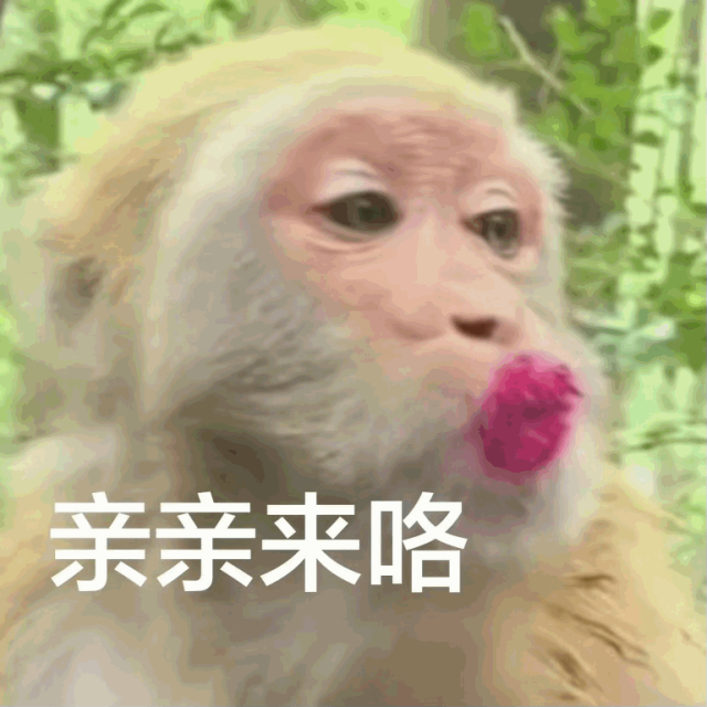 可爱猴子嘟着粉唇配文“亲亲来咯”，超萌超有爱 ๑小可爱表情包偷偷抱走表情包图片gif动图 - 求表情网,斗图从此不求人!
