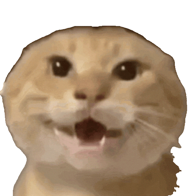 可爱猫咪突然张嘴露牙，表情呆萌超搞笑 可爱猫meme耄耋猫表情包大合集表情包图片gif动图 - 求表情网,斗图从此不求人!