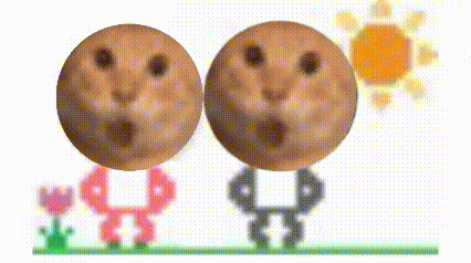 两个表情惊讶的圆脑袋，可爱画风萌翻众人 可爱猫meme耄耋猫表情包大合集表情包图片gif动图 - 求表情网,斗图从此不求人!