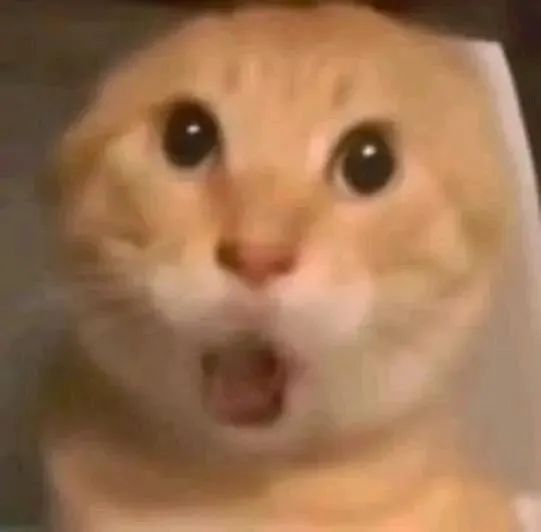 震惊橘猫表情包，瞪大双眼张嘴超惊讶的可爱模样 可爱猫meme耄耋猫表情包大合集表情包图片gif动图 - 求表情网,斗图从此不求人!
