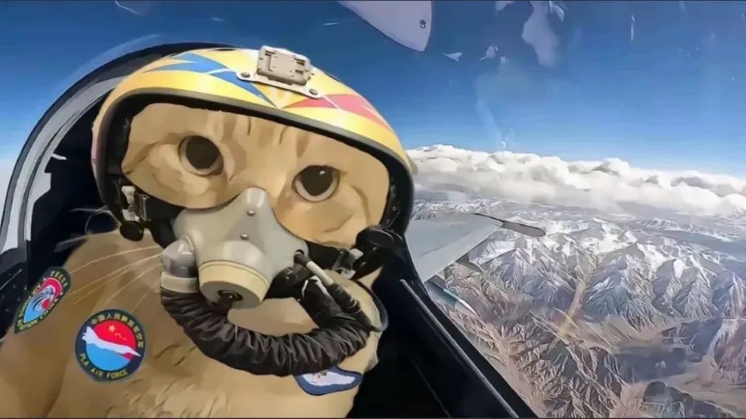 《超萌猫咪化身飞行员，驾驶战机翱翔天际超酷炫》 可爱猫meme耄耋猫表情包大合集表情包图片gif动图 - 求表情网,斗图从此不求人!
