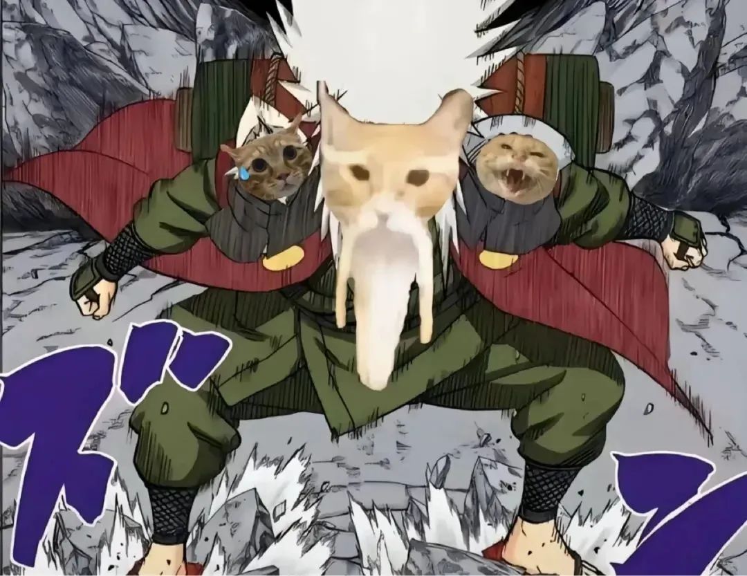 动漫人物变身逗趣猫咪，这气势却依旧十足的搞笑图 可爱猫meme耄耋猫表情包大合集表情包图片gif动图 - 求表情网,斗图从此不求人!