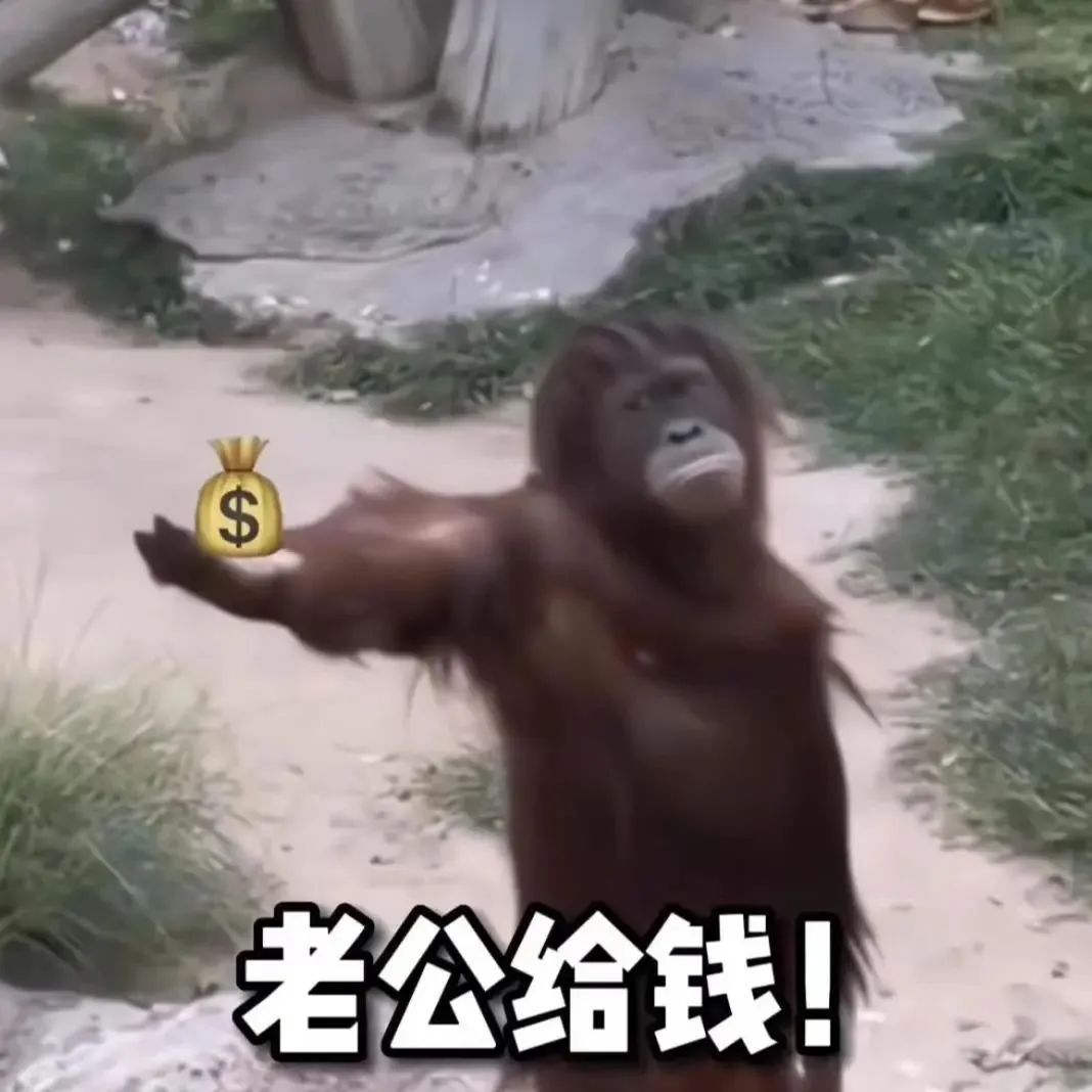 猩猩手拿钱袋一脸傲娇，配文“老公给钱”的搞笑表情包 杂七杂八的表情包，我可太喜欢了！表情包图片gif动图 - 求表情网,斗图从此不求人!