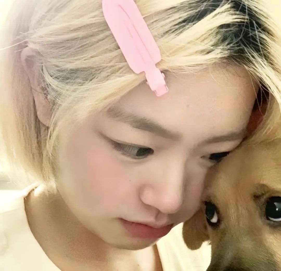 金发女子头戴粉色发卡，与可爱小狗亲昵依偎的温馨画面 男女头像｜我的可爱分你一半表情包图片gif动图 - 求表情网,斗图从此不求人!