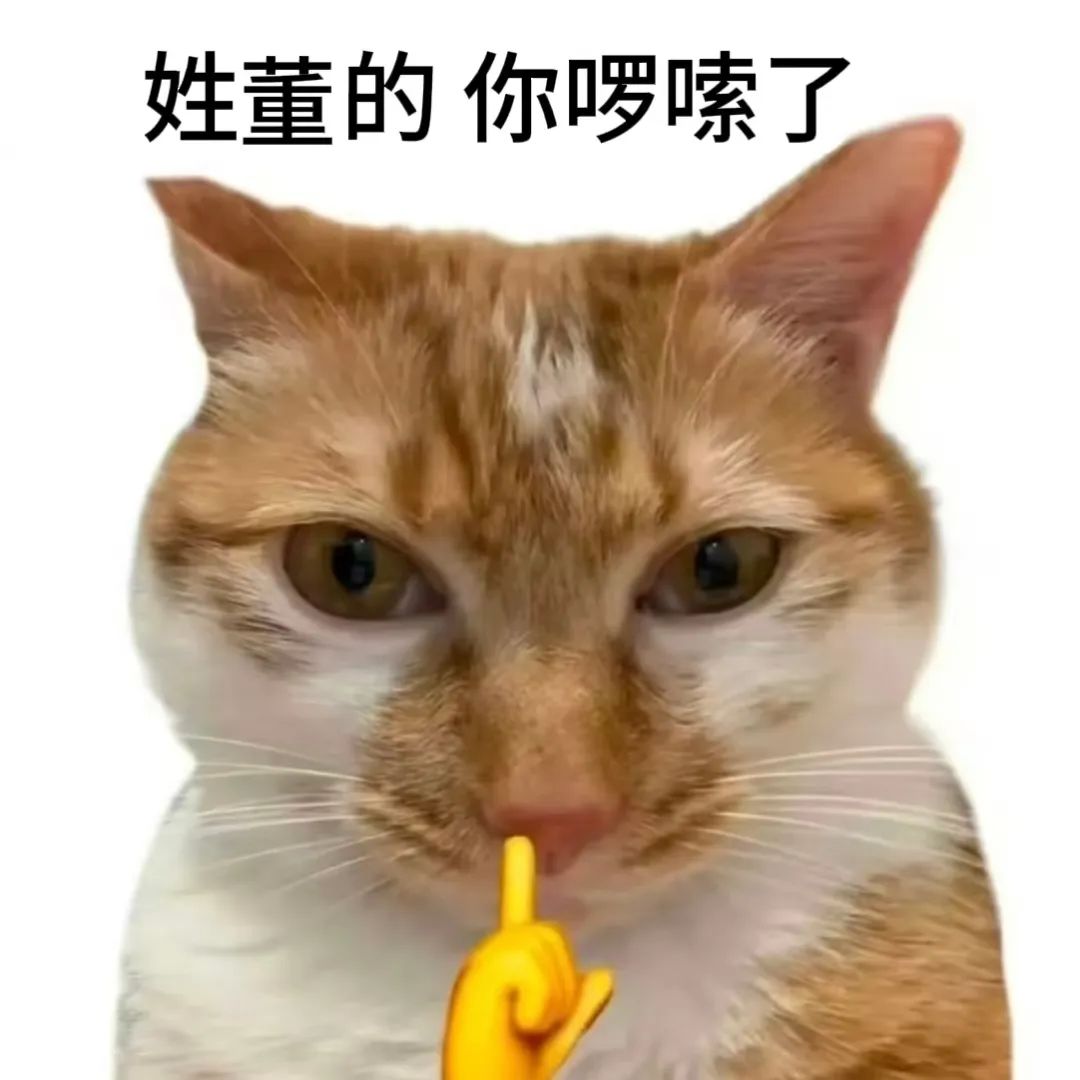 可爱猫咪手指放嘴边，配文“姓董的 你啰嗦了”超有趣 姓氏表情包150张（姓×的 你啰嗦了）表情包图片gif动图 - 求表情网,斗图从此不求人!