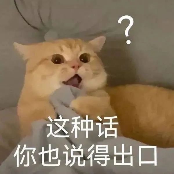 震惊橘猫表情包：“这种话你也说得出口”，尽显惊讶 表情包｜迷你表情包gif动图可爱表情包图片gif动图 - 求表情网,斗图从此不求人!