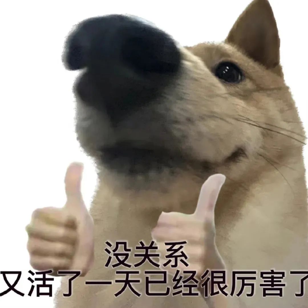 《狗狗竖起双拇指，配文“没关系又活了一天已经很厉害了”超励志》 表情包｜迷你表情包gif动图可爱表情包图片gif动图 - 求表情网,斗图从此不求人!