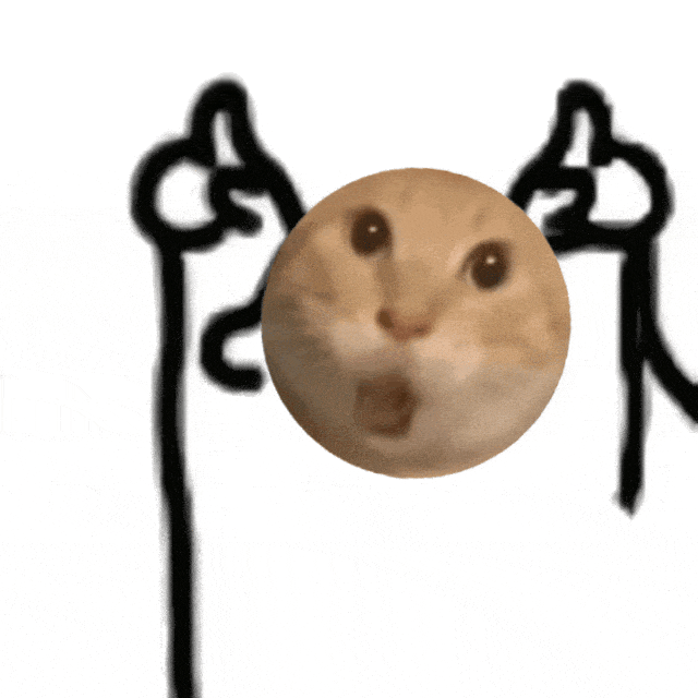 猫咪表情夸张似被吓到，旁边简笔人物更添搞笑氛围 100张meme耄耋表情包表情包图片gif动图 - 求表情网,斗图从此不求人!