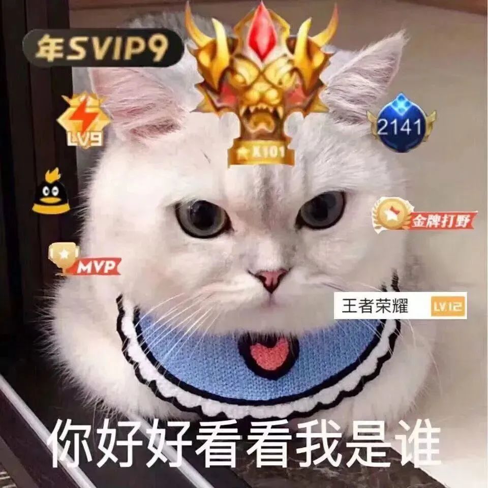 《王者高玩猫咪来袭，年SVIP9金牌打野LV12 MVP气场全开》 表情包｜表情包情侣互撩一整套表情包图片gif动图 - 求表情网,斗图从此不求人!