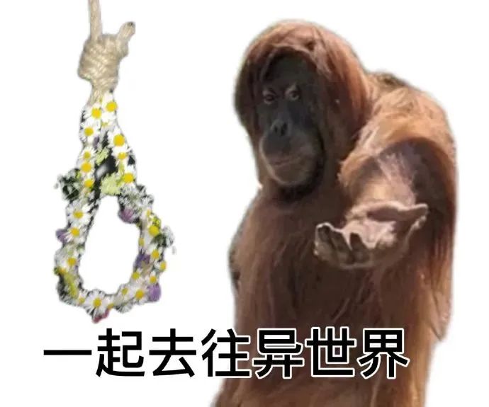 猩猩伸手指向花环绳套，配文“一起去往异世界”，搞笑又神秘 猴子阴阳怪气表情包动图表情包图片gif动图 - 求表情网,斗图从此不求人!