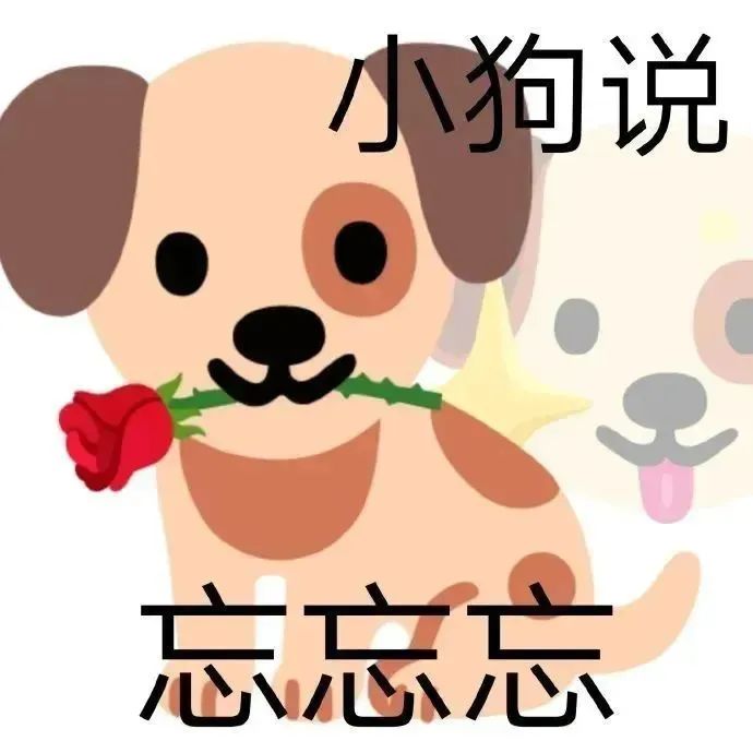 小狗叼着玫瑰说“忘忘忘”，可爱又搞笑的忘事表情包 今天的表情包存了嘛。表情包图片gif动图 - 求表情网,斗图从此不求人!