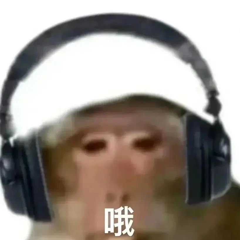 戴着耳机的猴子，一脸淡然，配文“哦”尽显冷漠 表情包：拿来吧你！（18张）表情包图片gif动图 - 求表情网,斗图从此不求人!