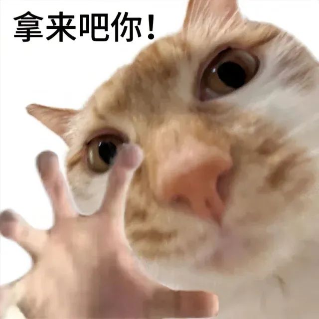 可爱猫咪配文“拿来吧你”，搞笑又霸气的表情包 表情包：拿来吧你！（18张）表情包图片gif动图 - 求表情网,斗图从此不求人!