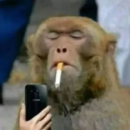 猴子叼着烟手拿手机，表情惬意似在享受悠闲时光 表情包：拿来吧你！（18张）表情包图片gif动图 - 求表情网,斗图从此不求人!