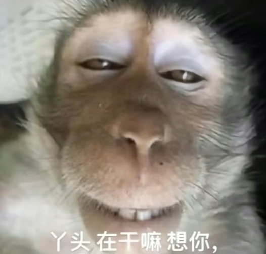 猴子眯眼咧嘴露齿笑，配文“丫头在干嘛 想你”可爱又俏皮 微信表情包表情包图片gif动图 - 求表情网,斗图从此不求人!