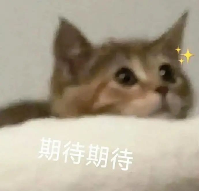 可爱小猫眼睛亮晶晶，配文“期待期待”超萌超可爱 来点低脂小猫表情包 好用爱用表情包图片gif动图 - 求表情网,斗图从此不求人!