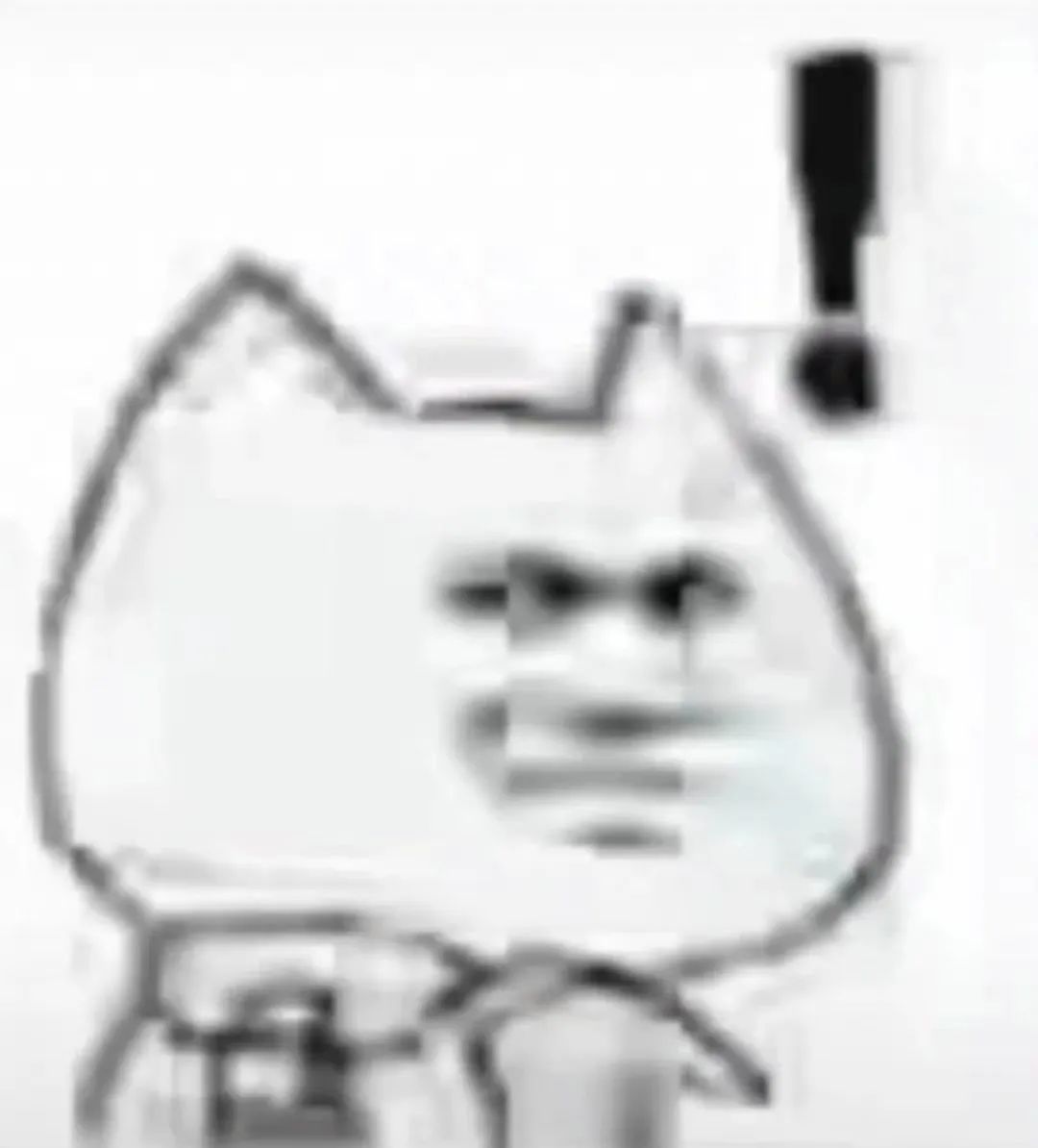 惊讶的猫咪表情包，瞪大双眼配感叹号，尽显意外之感 大学生爱用的小尺寸表情包表情包图片gif动图 - 求表情网,斗图从此不求人!