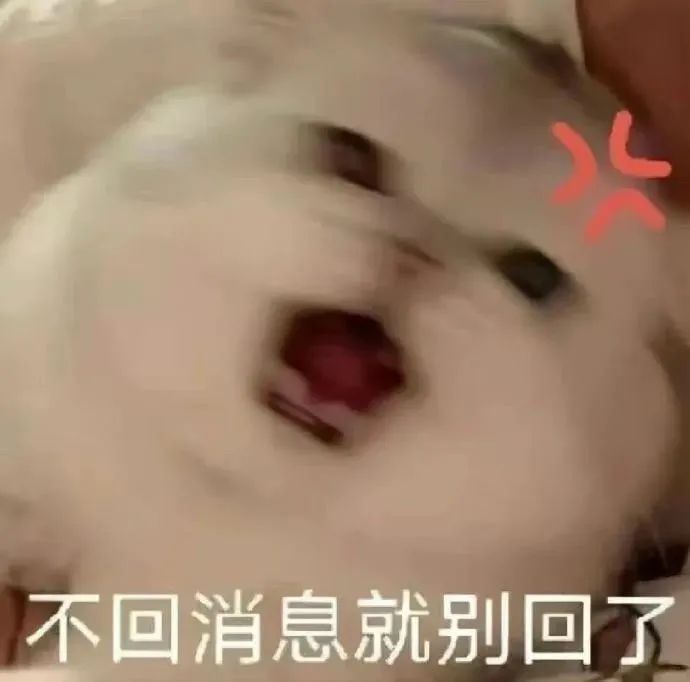 生气小猫表情包：不回消息就别回了，超有态度 表情包 | 每天都在演我的表情包 表情包图片gif动图 - 求表情网,斗图从此不求人!