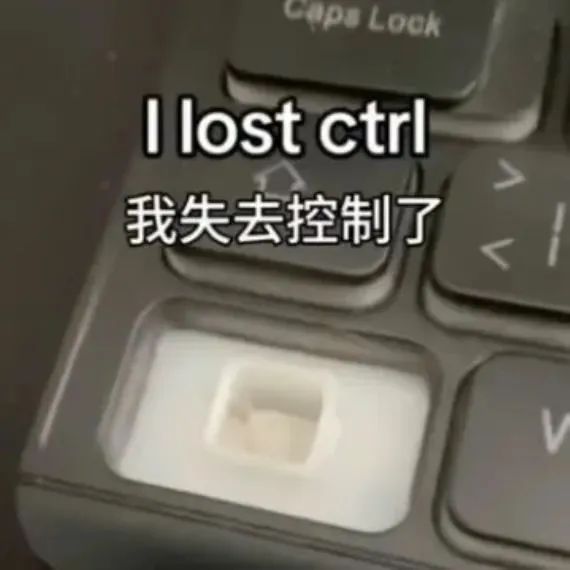 《I lost ctrl》我失去控制了，这个键盘表情包太有共鸣 表情包｜命好苦表情包图片gif动图 - 求表情网,斗图从此不求人!