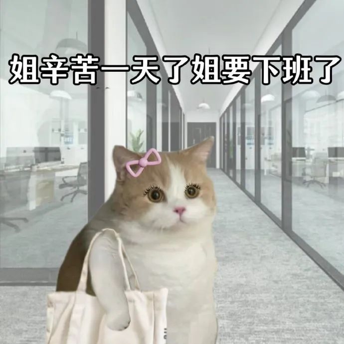 《姐辛苦一天了姐要下班了》——可爱猫咪的下班宣言 有病但好用的表情包表情包图片gif动图 - 求表情网,斗图从此不求人!
