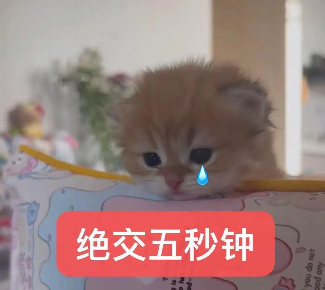 委屈巴巴的小猫咪，眼角带泪配文“绝交五秒钟”，可爱又好笑 可爱小猫表情包合集表情包图片gif动图 - 求表情网,斗图从此不求人!