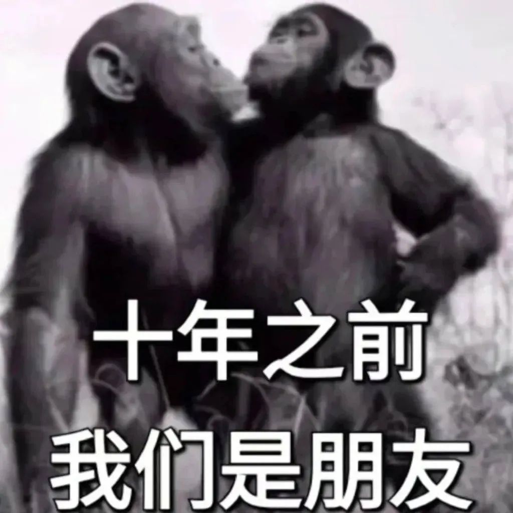 《十年之前我们是朋友，黑白色调的猩猩图尽显岁月感慨》 表情包｜一帮出生表情包图片gif动图 - 求表情网,斗图从此不求人!