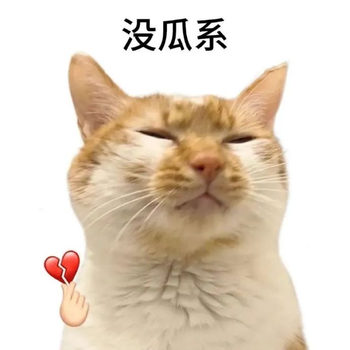 猫咪闭眼淡定“没瓜系”，碎心手势显无所谓 白底小猫表情包 表情包图片动图 求表情网斗图从此不求人 6355