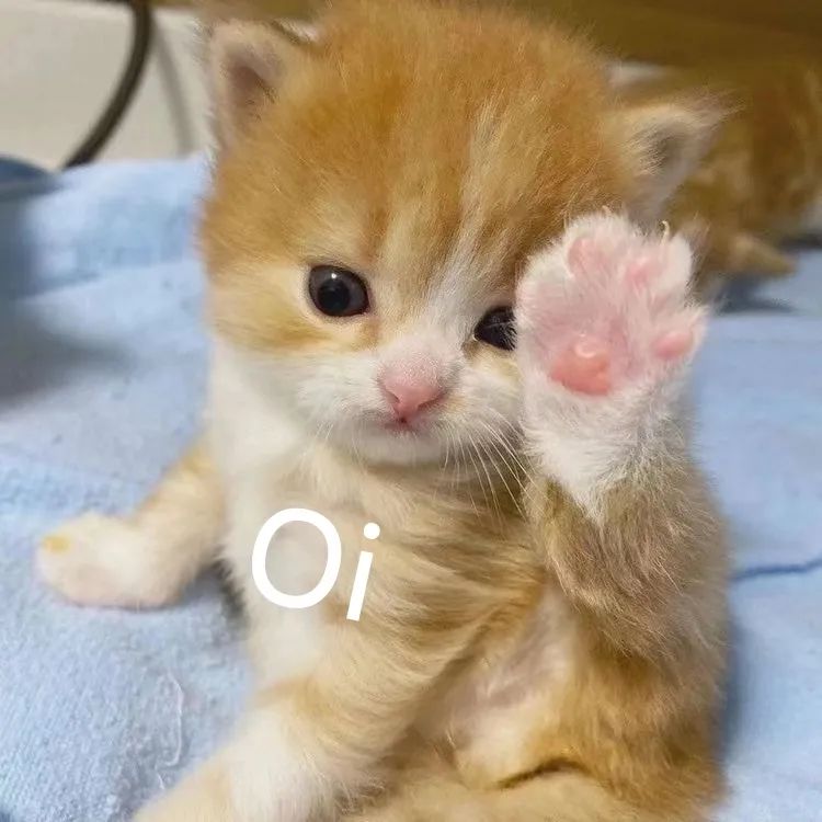 oi相关表情包,表情包专辑 - 求表情网,斗图从此不求人!