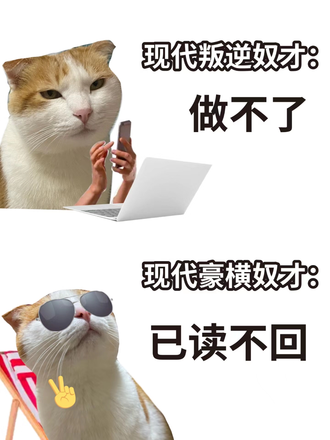 《现代叛逆奴才“做不了”，现代豪横奴才“已读不回”猫咪表情包》表情包图片gif动图 - 求表情网,斗图从此不求人!