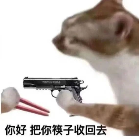 鱼烧猫咪 你好我吃一点表情包 猫咪手持手枪对着筷子，霸气说“你好 把你筷子收回去”表情包图片gif动图 - 求表情网,斗图从此不求人!