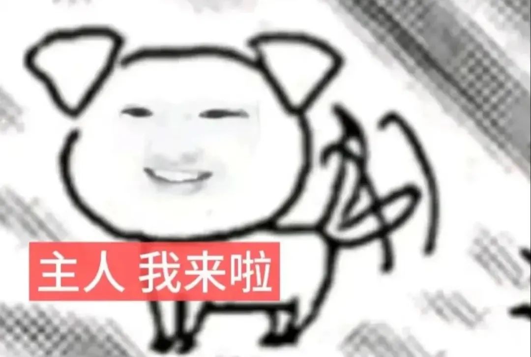 sakuya抽象表情包 | 主人 我来啦相关表情包,表情包专辑 - 求表情网,斗图从此不求人!