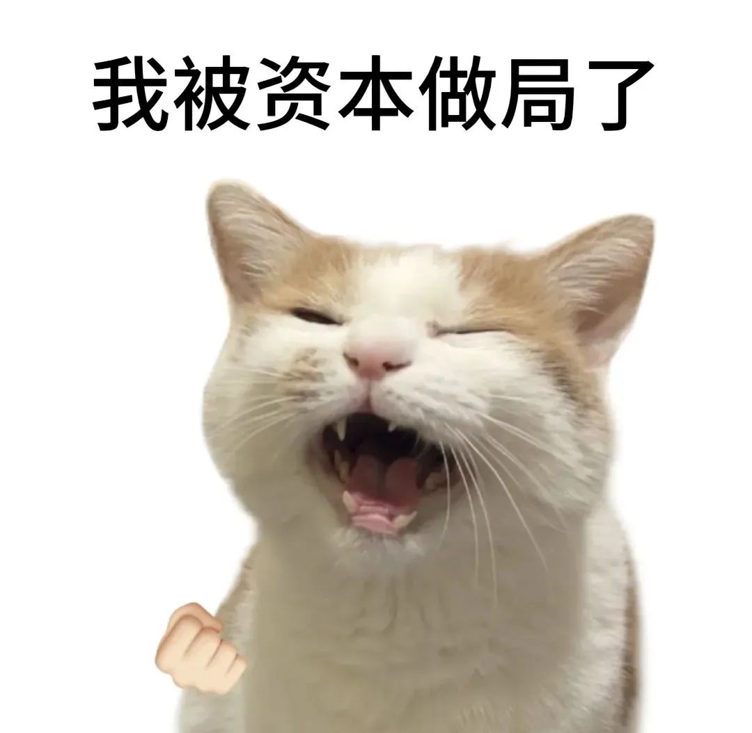 疑似资本做局 小猫 资本你赢了 表情包相关表情包,表情包专辑 - 求表情网,斗图从此不求人!